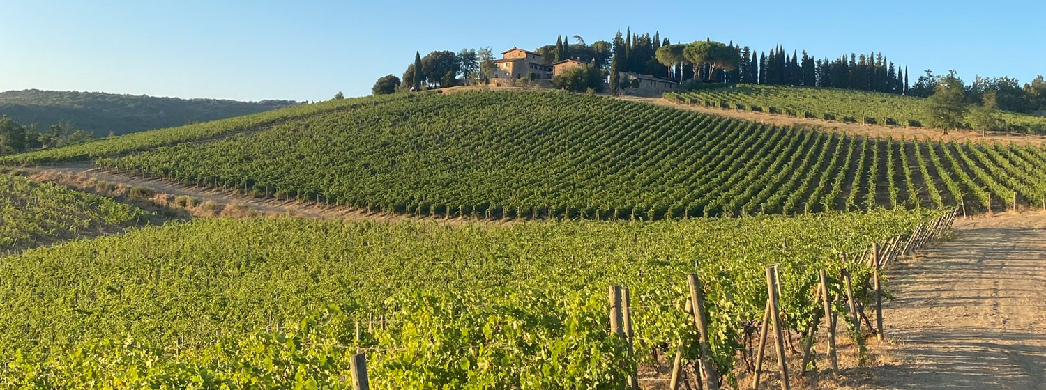 Tuscan Wine Tour • Coastal Concierge